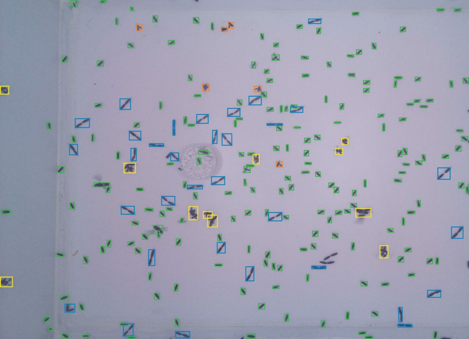 Image Segmentation Classification And Analysis Using Neural Networks